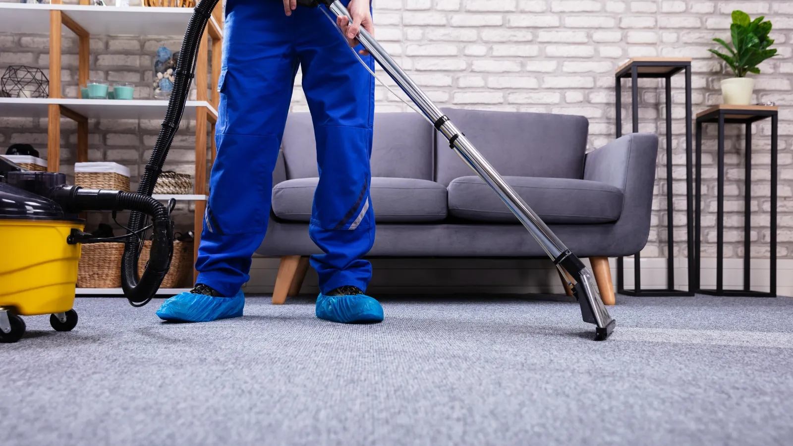 Bond Spotless Cleaning | Master Carpet Cleaning in Sydney | MyBrand